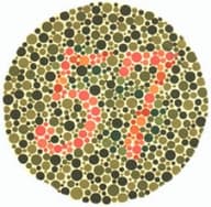 Ishihara Test - Color Blindness Test Online | ColorBlindTests.net